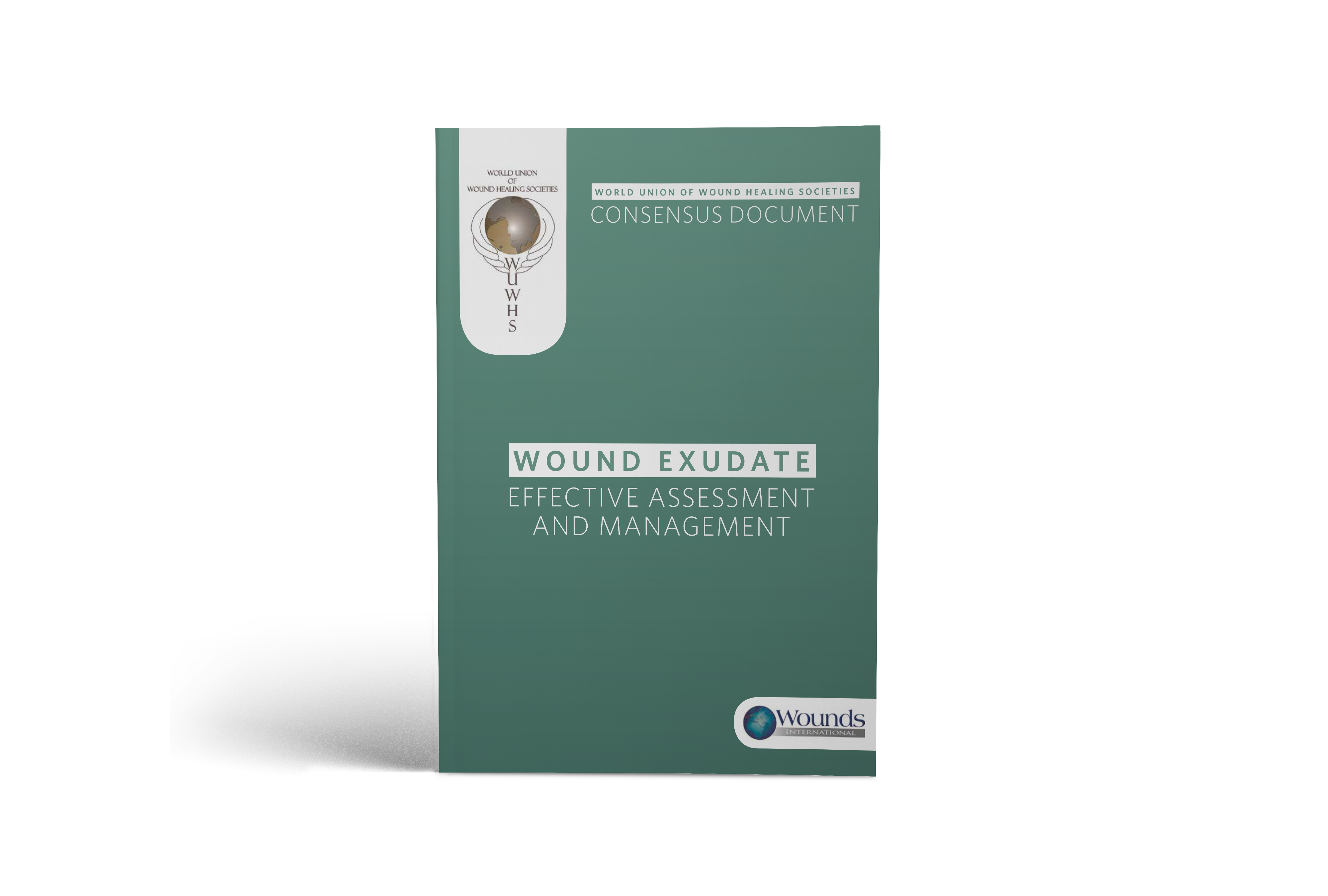 Wound Exudate Management