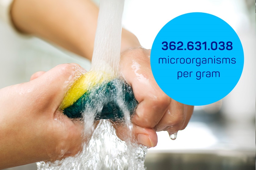 The 10 biggest hotspots for germs in everyday life