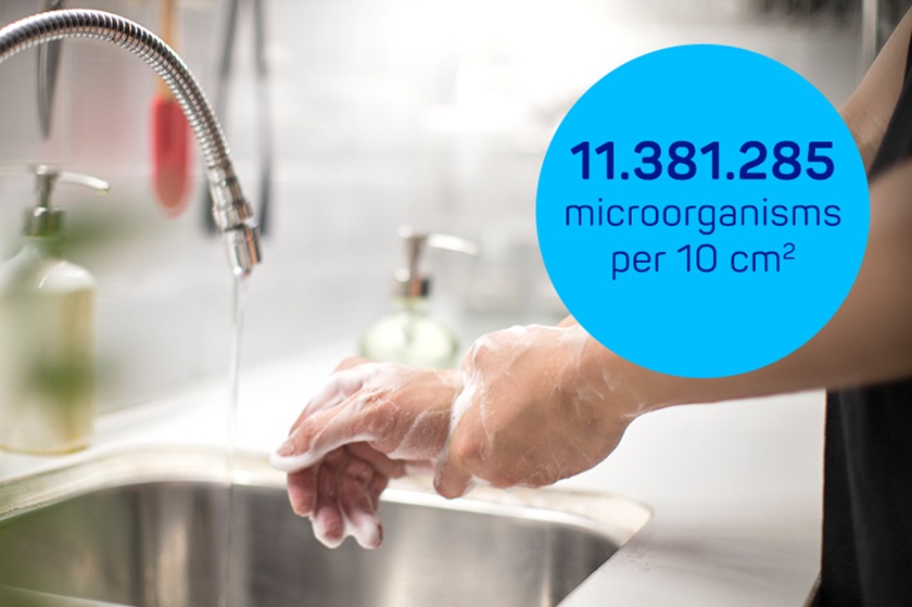 The 10 biggest hotspots for germs in everyday life