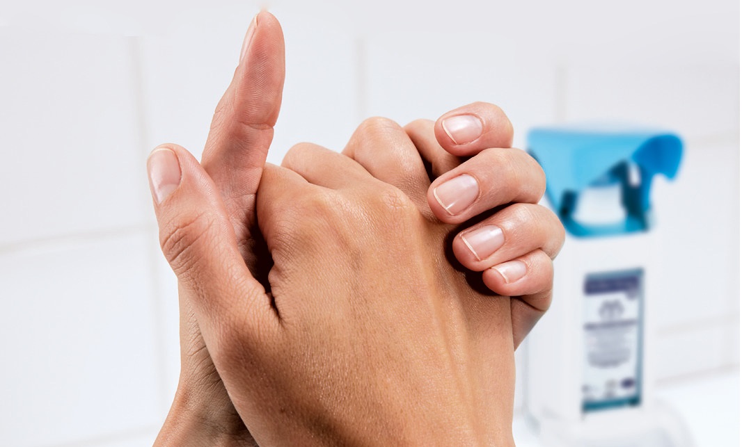 Medical knowledge | Disinfection | Hand disinfection HARTMANN